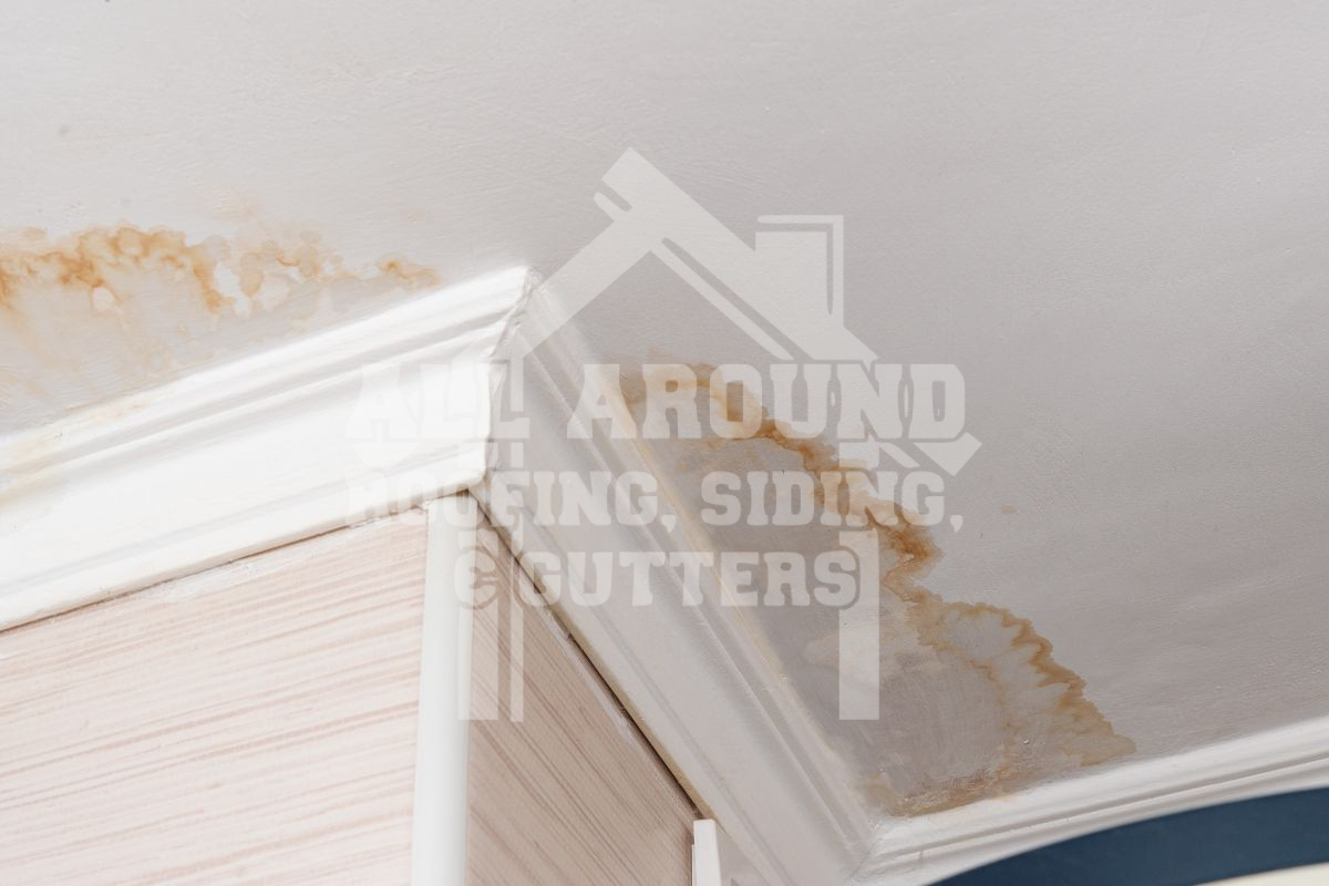 How Do You Know If Your Roof Is Rotting?