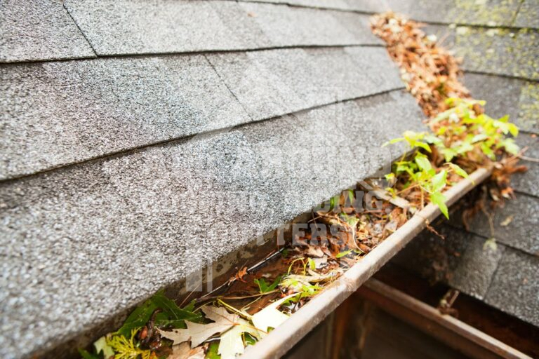 Gutter Installation: A Step-by-Step Guide For Homeowners